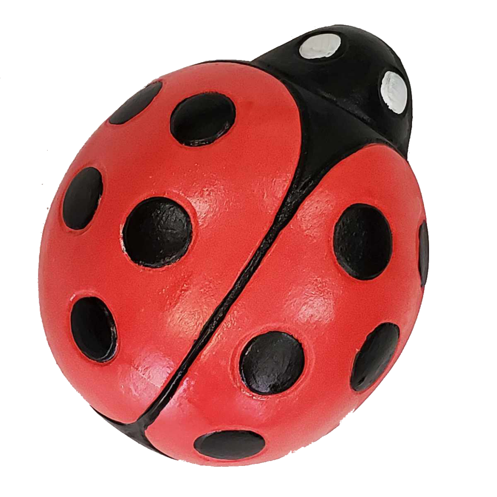 Ladybug - A Sprinkle of Fun