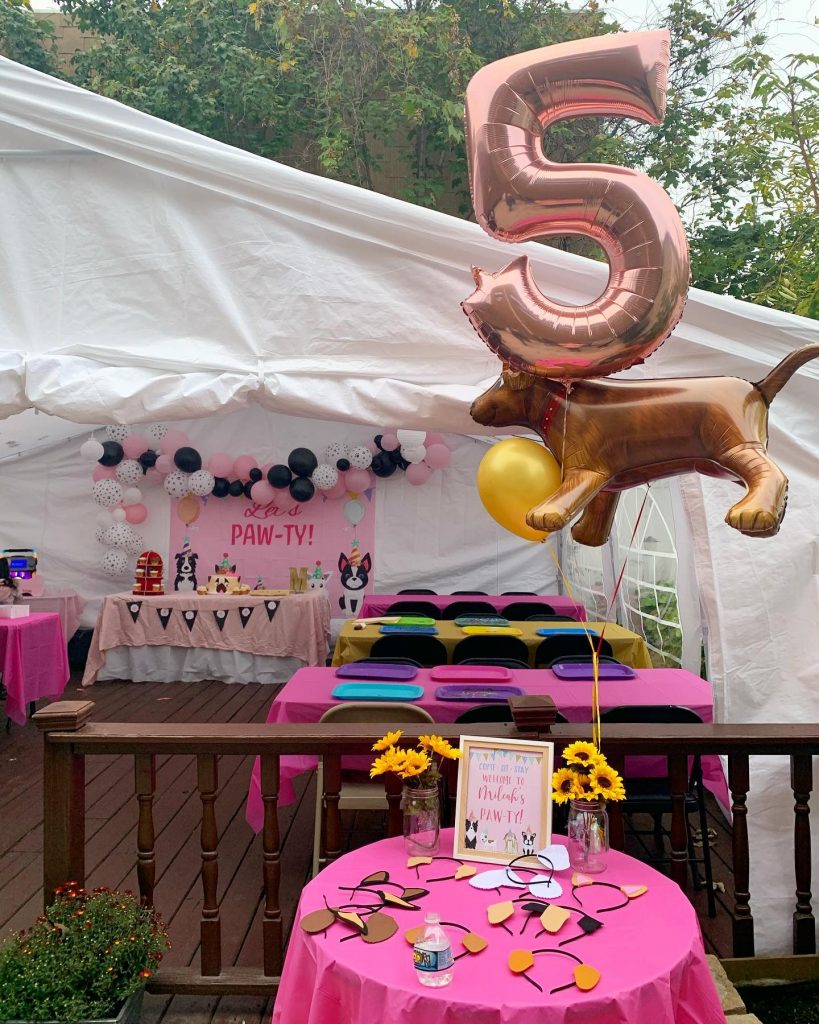 Plaster Party Package - A Sprinkle of Fun